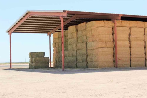 Use of New Technology Helps Ak-Chin Farms Achieve Bountiful Harvest ...