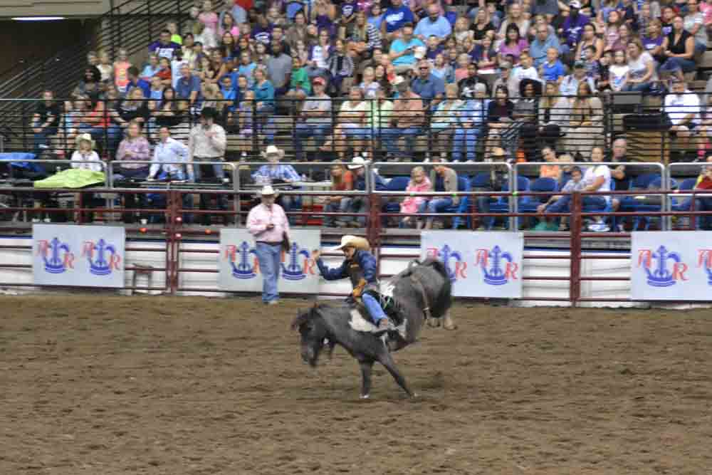 2016 American Royal Rodeo