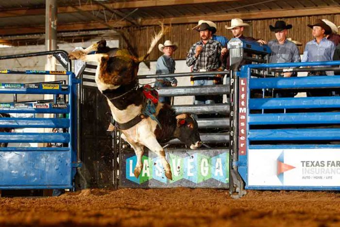 NFL Player Jared Allen Becomes Top Bull Contractor for PBR