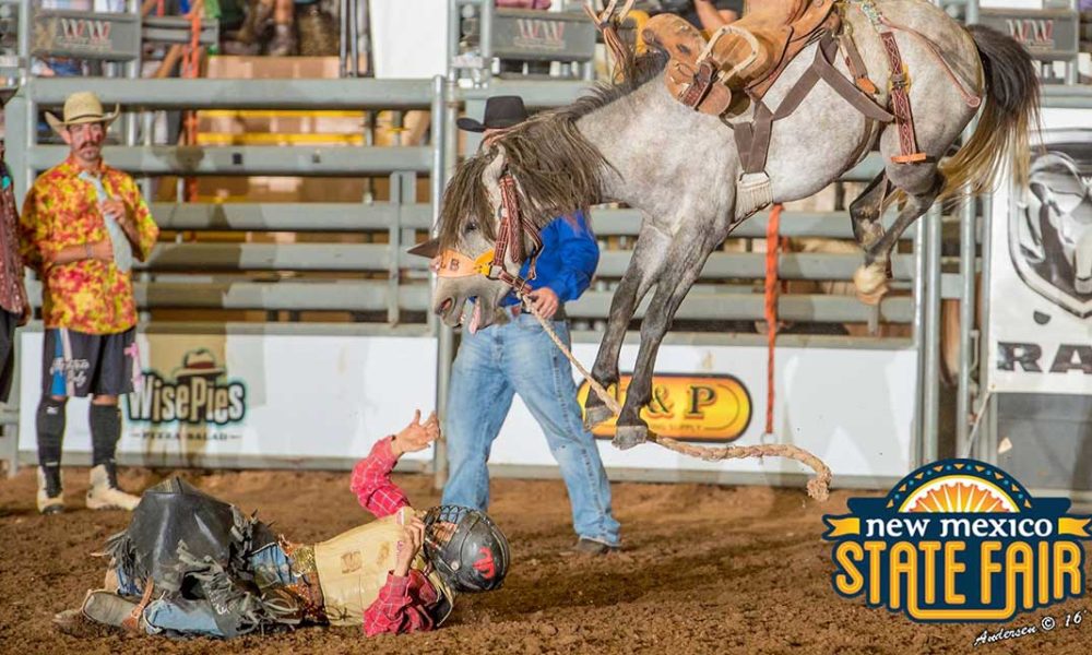 New Mexico State Fair & Rodeo 2016