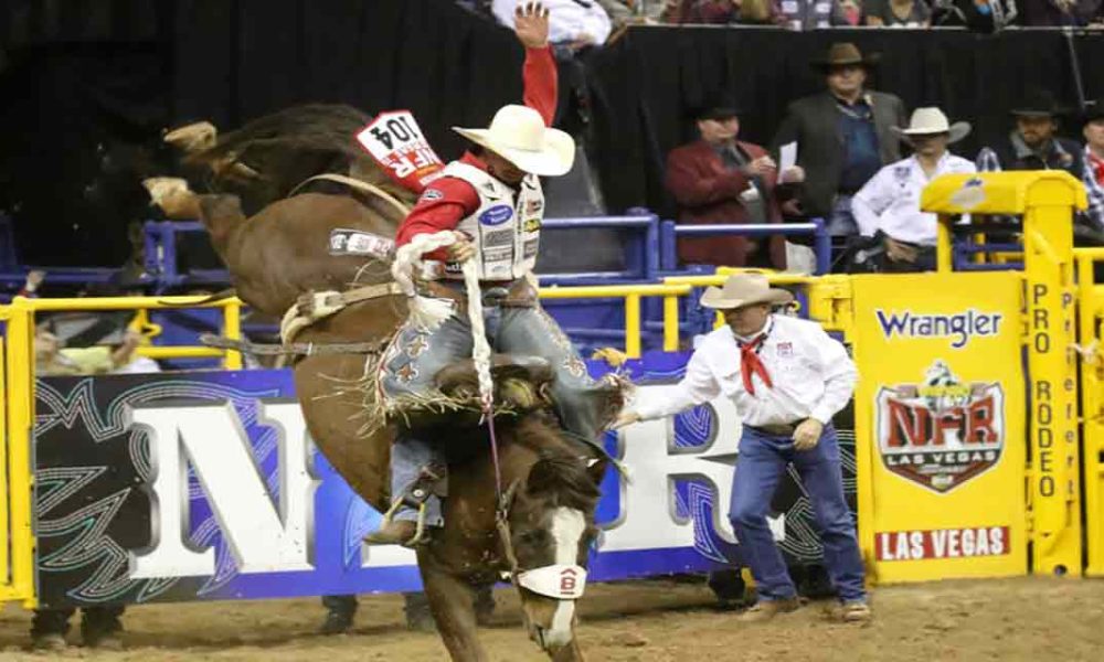Barnes PRCA Rodeo livestock headed to 2016 RAM Great Lakes Circuit ...