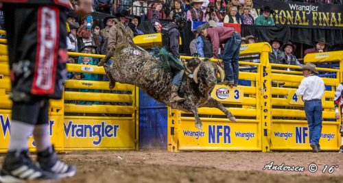 2016 Wrangler NFR Rodeo Go-Round Winners: Day 7 - Cowboy Lifestyle Network