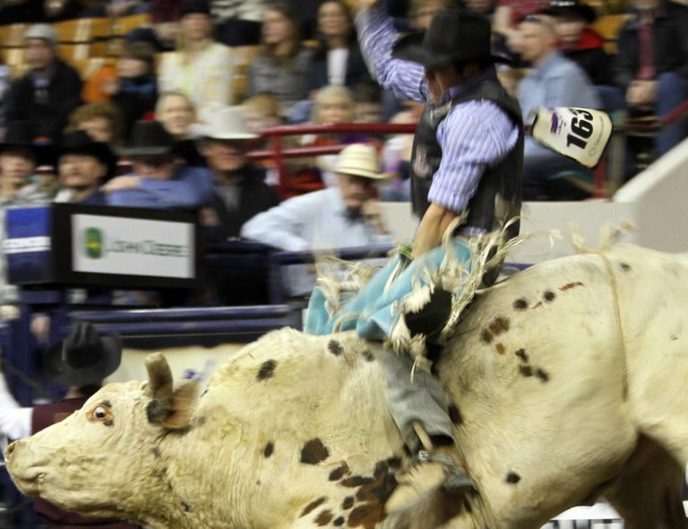 National Western Stock Show and Rodeo 2017