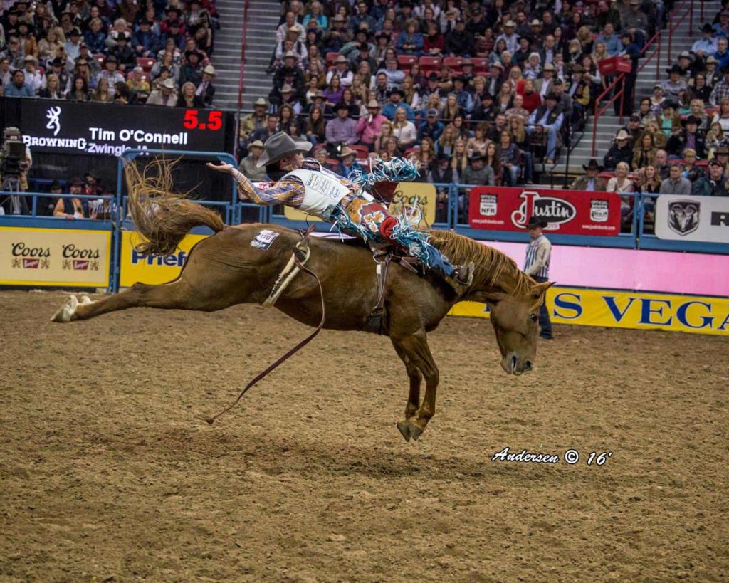 World Champion Bareback Rider Tim O’Connell’s Dream Come True