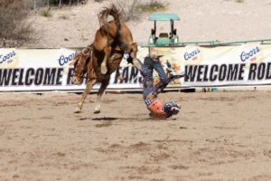 69th Annual Gold Rush Days and Senior Pro Rodeo in Wickenburg, AZ ...