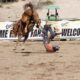 69th Annual Gold Rush Days and Senior Pro Rodeo in Wickenburg, AZ ...