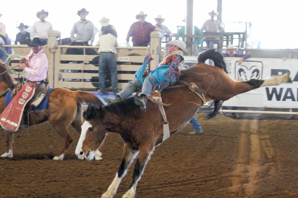 88th Annual Buckeye Helzapoppin' PRCA Rodeo - Cowboy Lifestyle Network