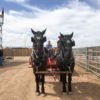Arizona Black Rodeo 2017 at Rawhide Wild Horse Pass, AZ