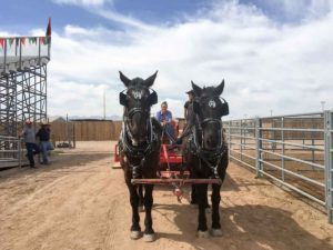 Arizona Black Rodeo 2017 at Rawhide Wild Horse Pass, AZ
