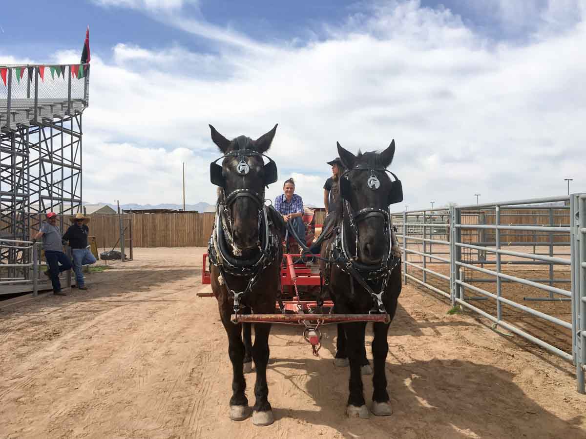 Arizona Black Rodeo 2017 at Rawhide Wild Horse Pass, AZ