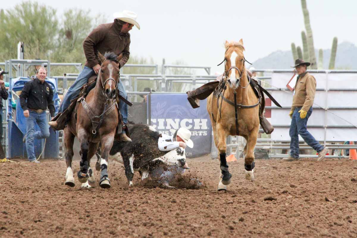 GCPRA Lost Dutchman Days Rodeo in Apache Junction, AZ