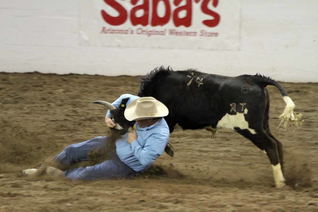 Parada del Sol Rodeo 2017