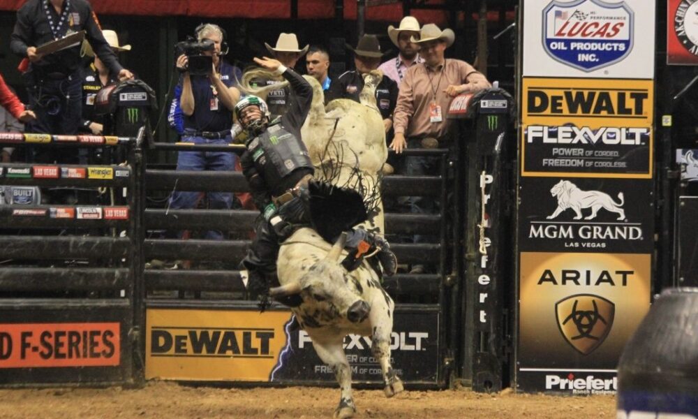 Rise of Bushwacker: PBR 2011 World Champion Bucking Bull | CLN
