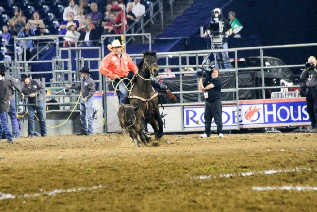 Houston Livestock Show and Rodeo 2017 - Cowboy Lifestyle Network