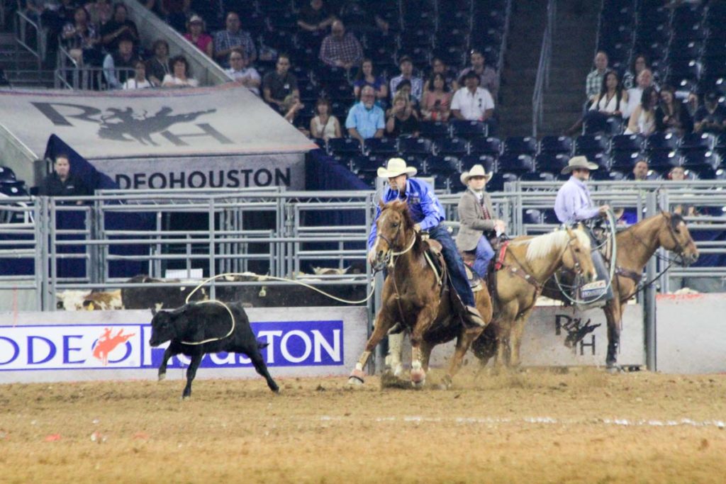 Houston Livestock Show and Rodeo 2017 - Cowboy Lifestyle Network