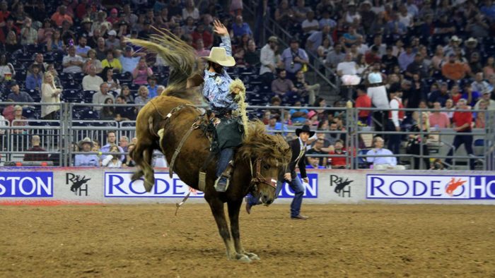 Houston Livestock Show and Rodeo 2017 - Cowboy Lifestyle Network