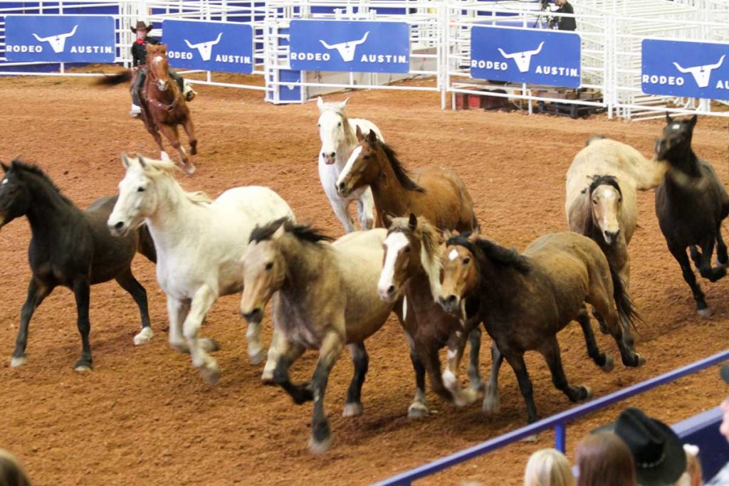 Rodeo Austin 2017
