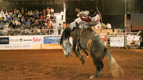 Saba’s Western Wear stores support rodeo, Western living