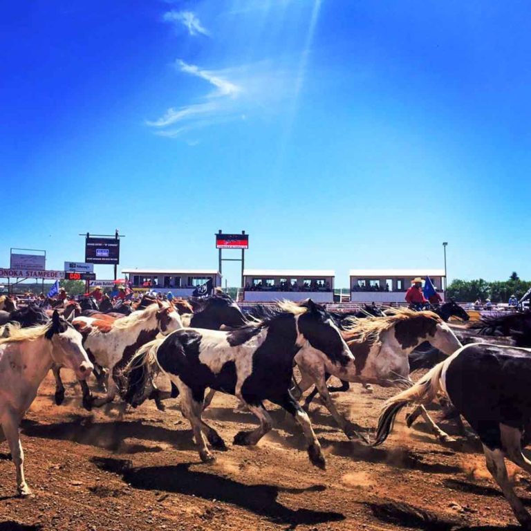 Ponoka Stampede 2017 - Cowboy Lifestyle Network