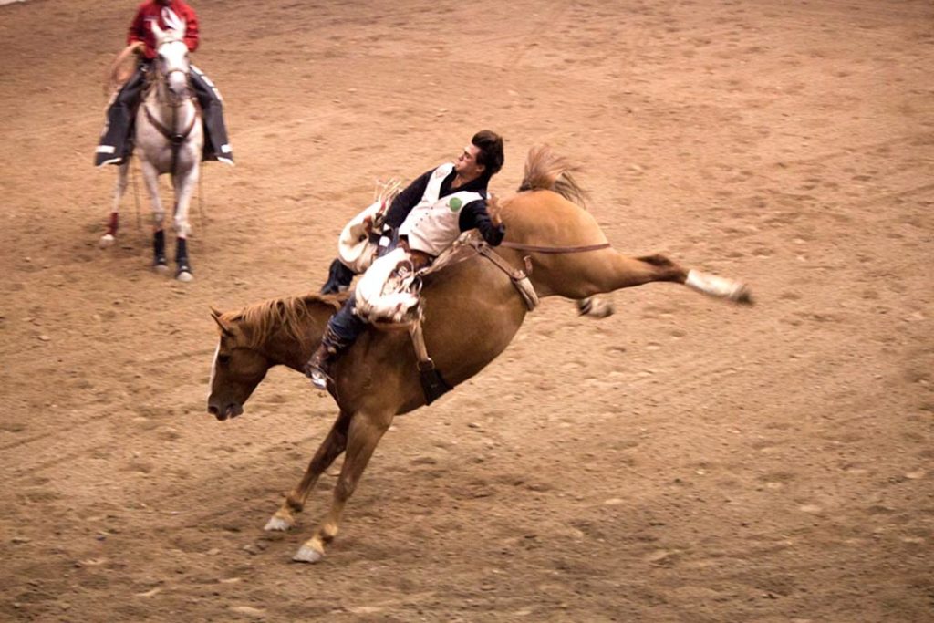The Days of ’47 Rodeo 2017