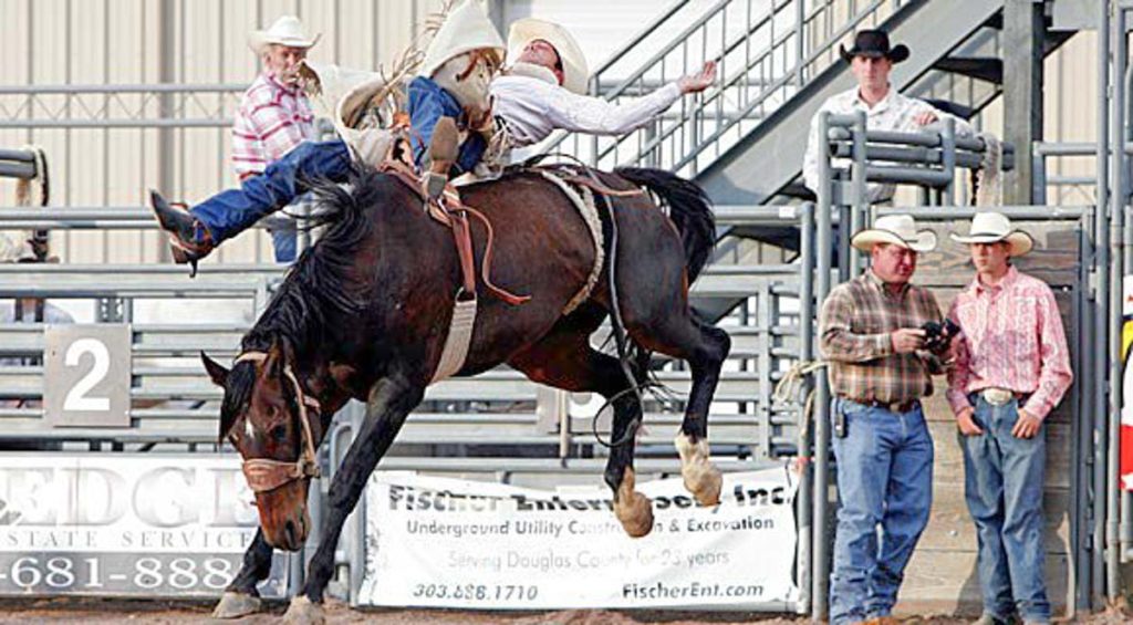 Douglas County Fair and Rodeo 2017