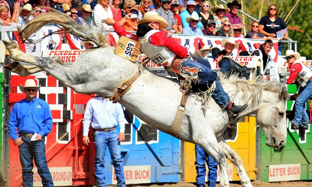 Pendleton Round-Up 2017 Highlights