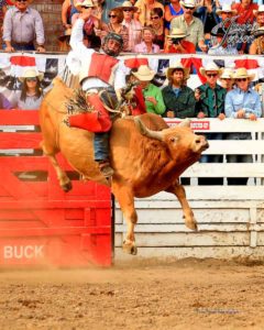 Pendleton Round-Up 2017 Highlights