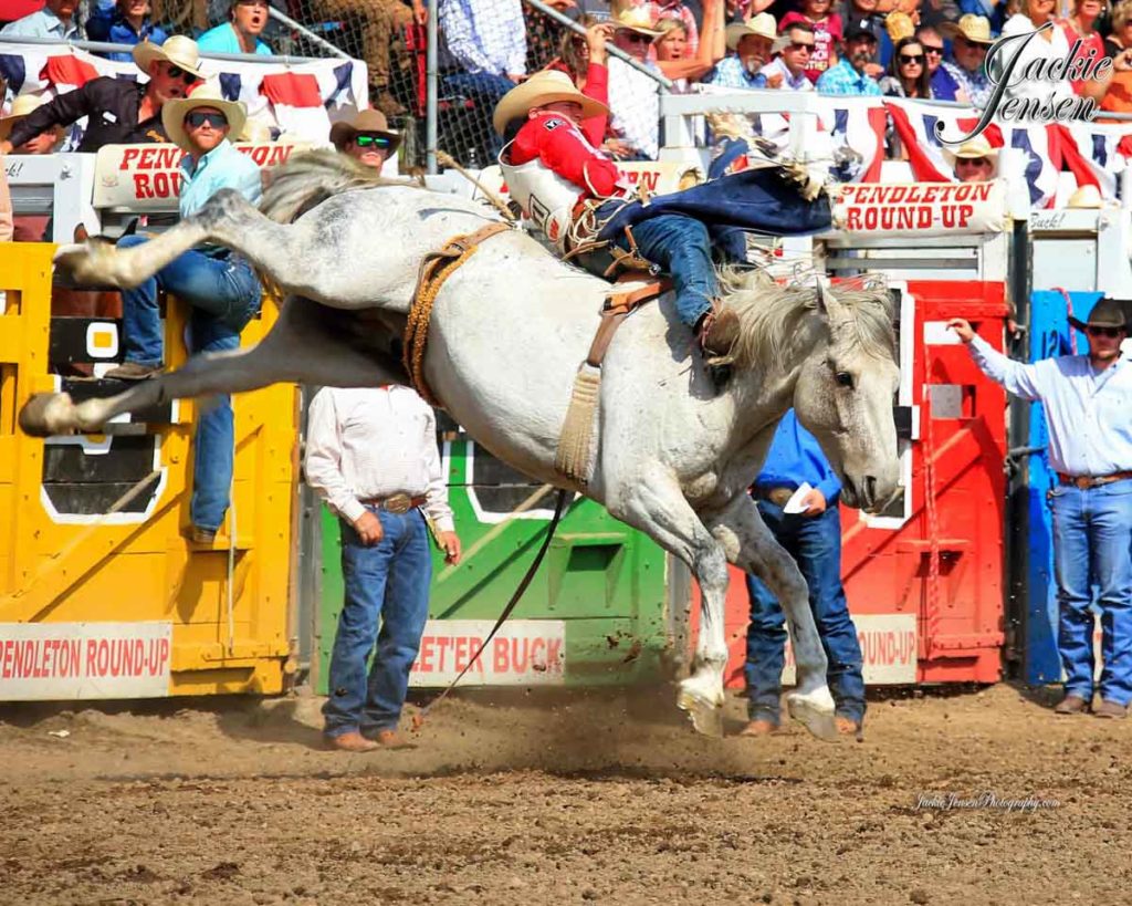 Pendleton Round-Up 2017 Highlights