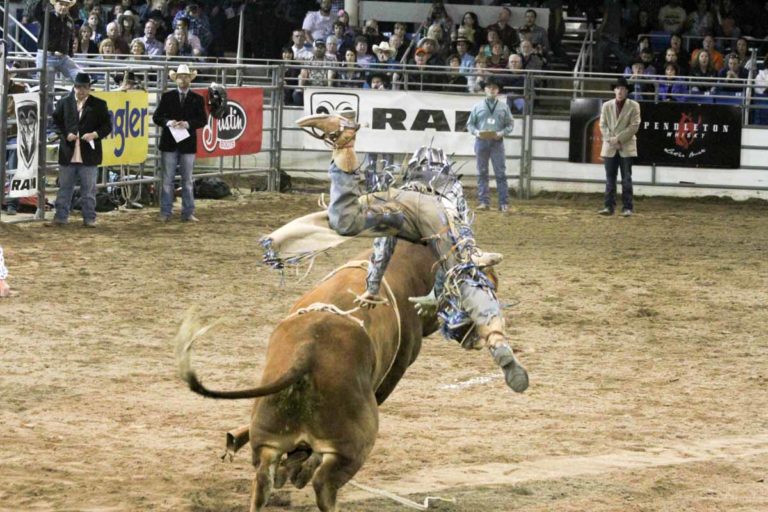 Sioux Falls PRCA Wrangler Champions Challenge Finale 2017