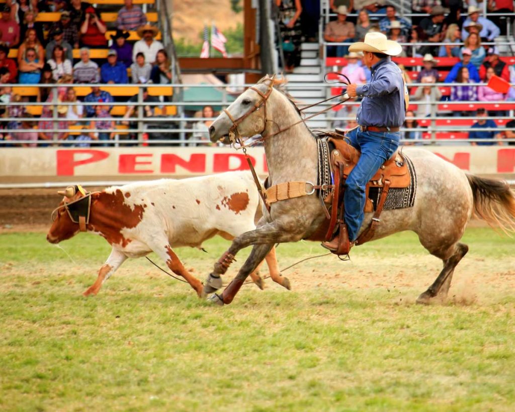 Pendleton Round-Up 2017 Highlights