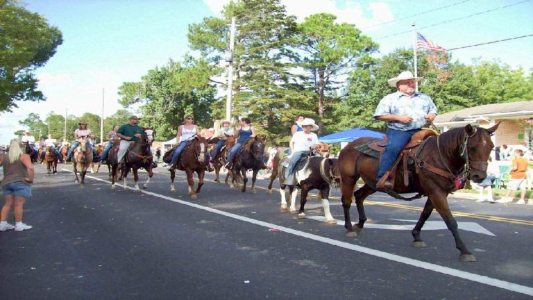 73rd Bonifay Rodeo: Northwest Florida Championship PRCA Pro Rodeo 2017