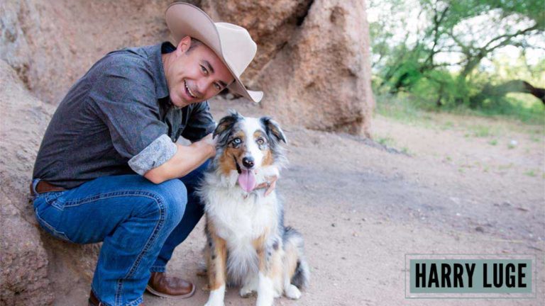 DRUNK IN MY DRINK by HARRY LUGE : New Country Single Hits Oct. 27