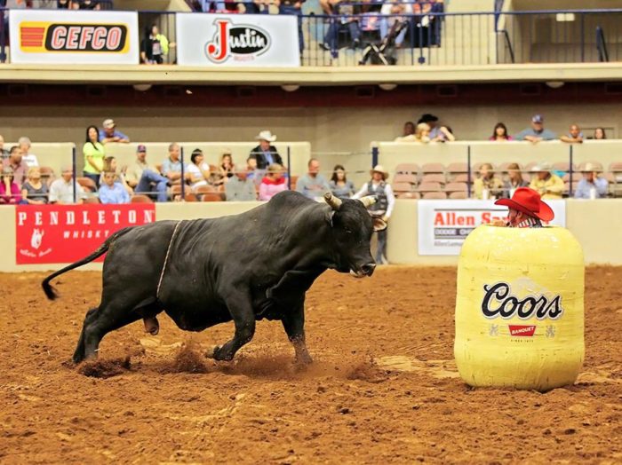 Heart O'Texas Fair and Rodeo: Waco All American Pro Rodeo Finals 2017