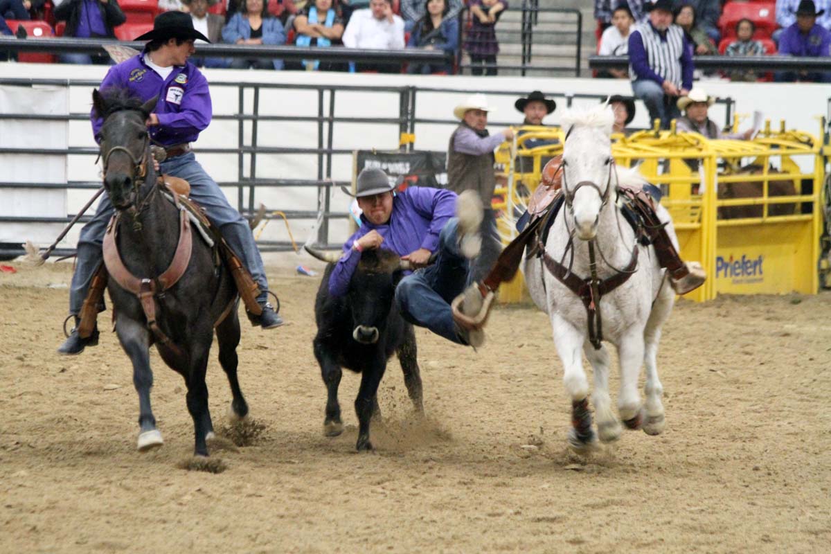 Indian National Finals Rodeo 2024 - Cowboy Lifestyle Network