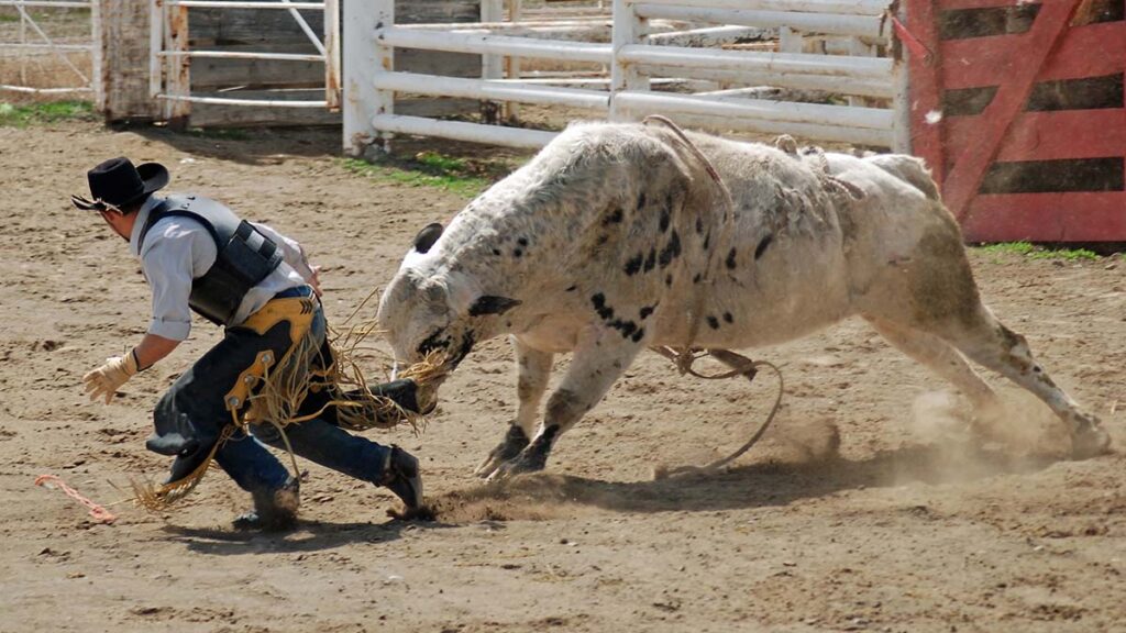 New Options for Cowboy Injuries - Cowboy Lifestyle Network