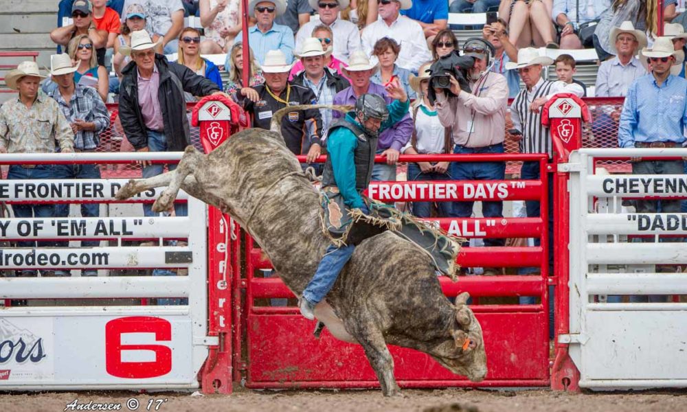 Cowboy Lifestyle Network: The Online Western Enthusiast Social Hub