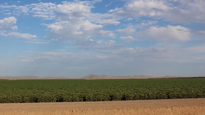 Ak-Chin Indian Community Tribal Council extends pay, benefits