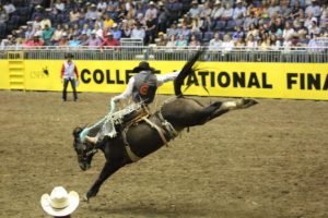College National Finals Rodeo 2021 - Cowboy Lifestyle Network