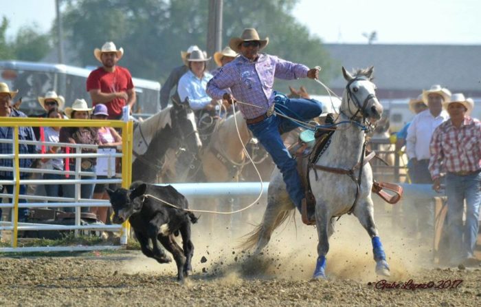 Crow Fair Celebration Powwow and Rodeo 2019 - Cowboy Lifestyle Network