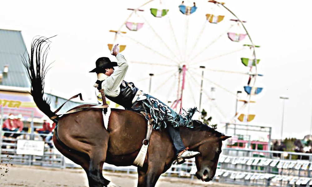 Douglas County Fair and Rodeo 2018