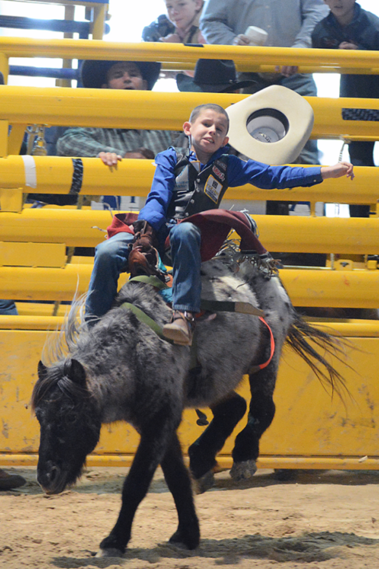 Don’t Miss the Jr. NFR Bareback & Bronc Riding: December 6-10 at Cowboy ...