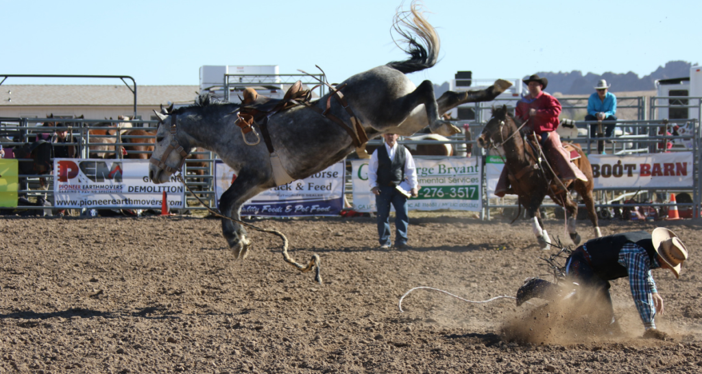 Little Delbert Days Rodeo 2019 - Cowboy Lifestyle Network