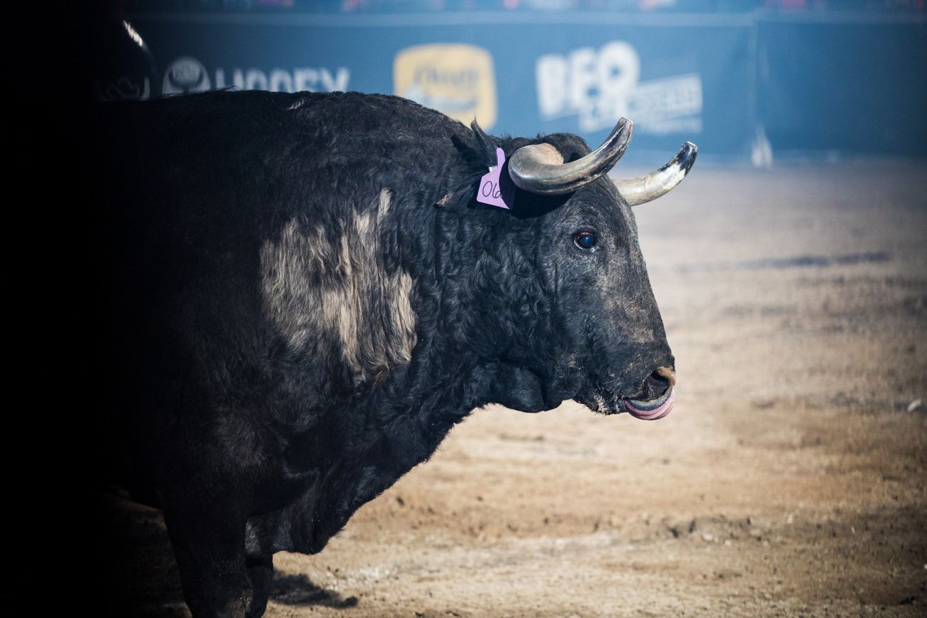 Bullfighters Only Returns to Rodeo Scottsdale - Cowboy Lifestyle Network