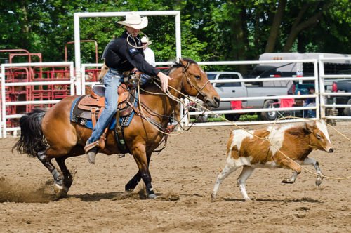 The Road to National High School Finals Rodeo 2020 - Cowboy Lifestyle ...
