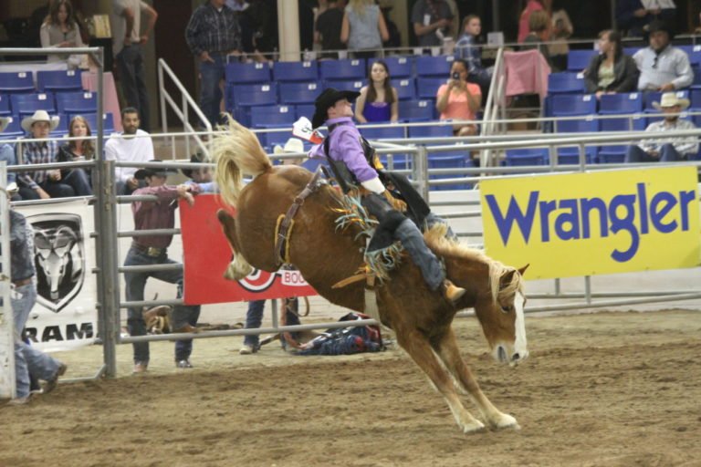 The Parada del Sol Rodeo is back for its 66th Year!
