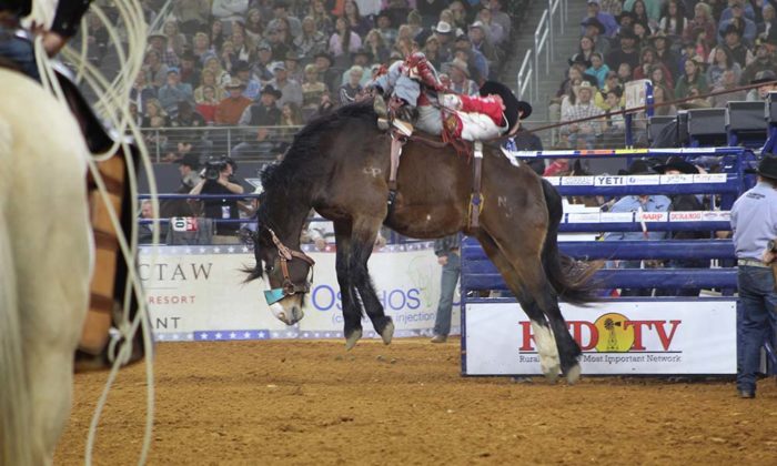 5 Things Bucking Horses Wish You Knew - Cowboy Lifestyle Network