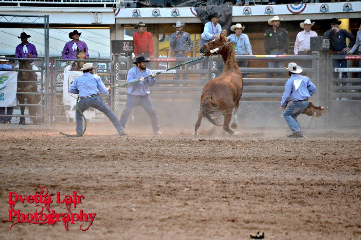 Sean Curtis: Singer, Songwriter and Wild Horse Rider - Cowboy Lifestyle ...