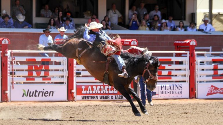 History of Rodeo - Cowboy Lifestyle Network