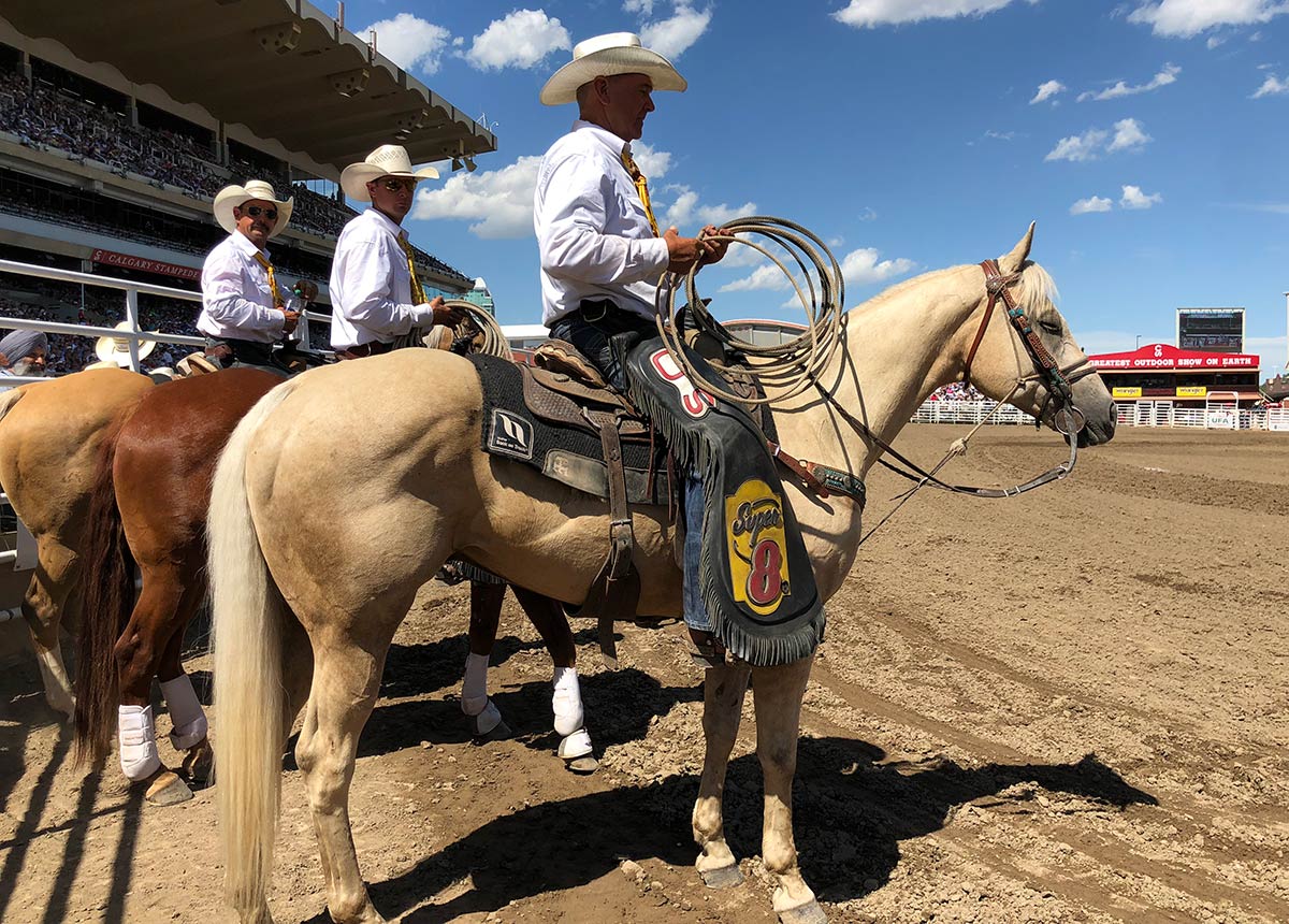 Saddle Up for the Calgary Stampede and Win A FREE YETI Cooler