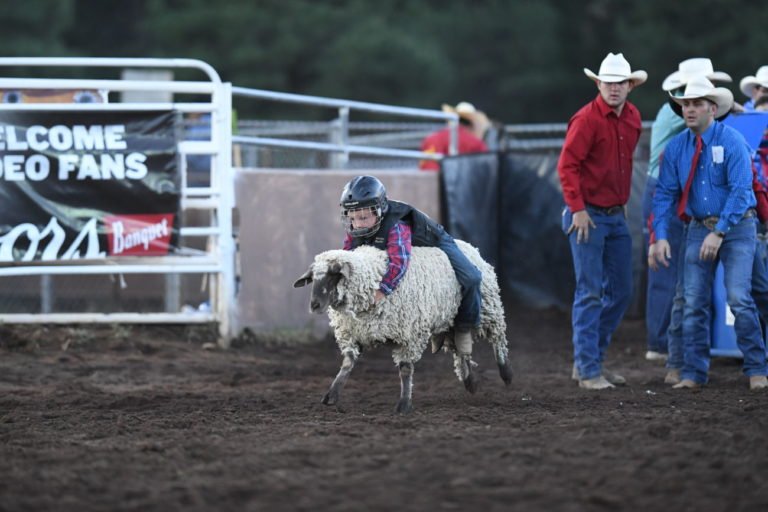 Flagstaff Pro Rodeo 2019 - Cowboy Lifestyle Network